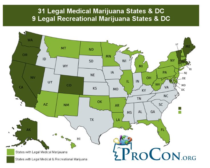 Marijuana 101 - Rebalan